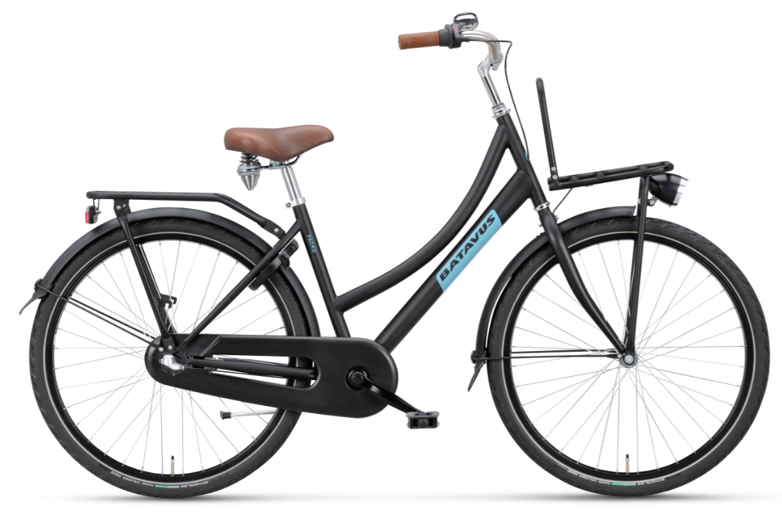 Batavus Packd 24 | Leenders fietsen